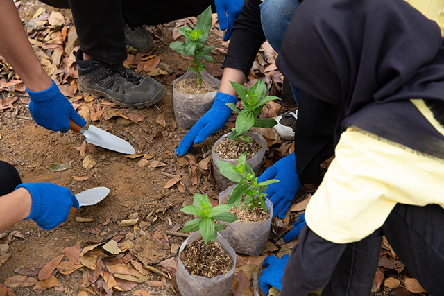 Building Global Citizens through Classroom Community Service ...